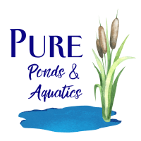 Contact – Pure Ponds Ltd